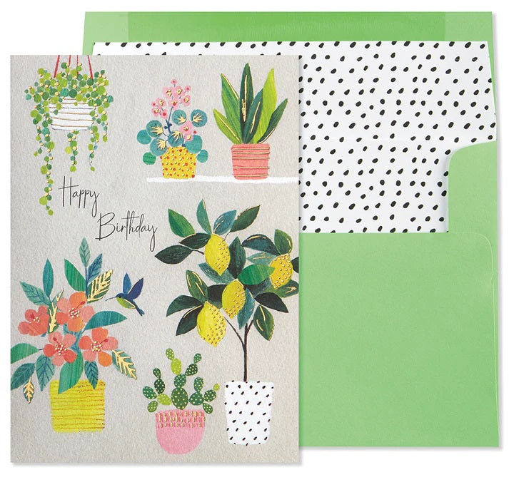 Embellished Birthday Greeting Card - Lemon Tree and Plants – Avant ...