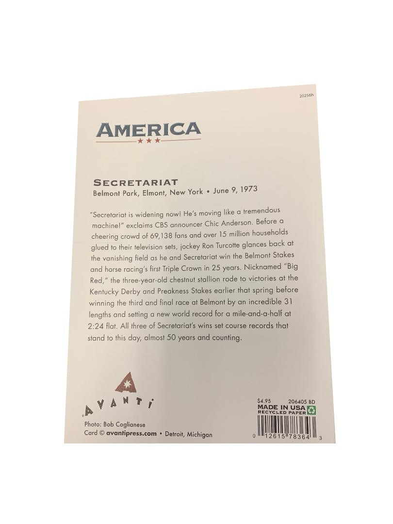 Birthday Greeting Card - Secretariat – Avant-Garde Impressions